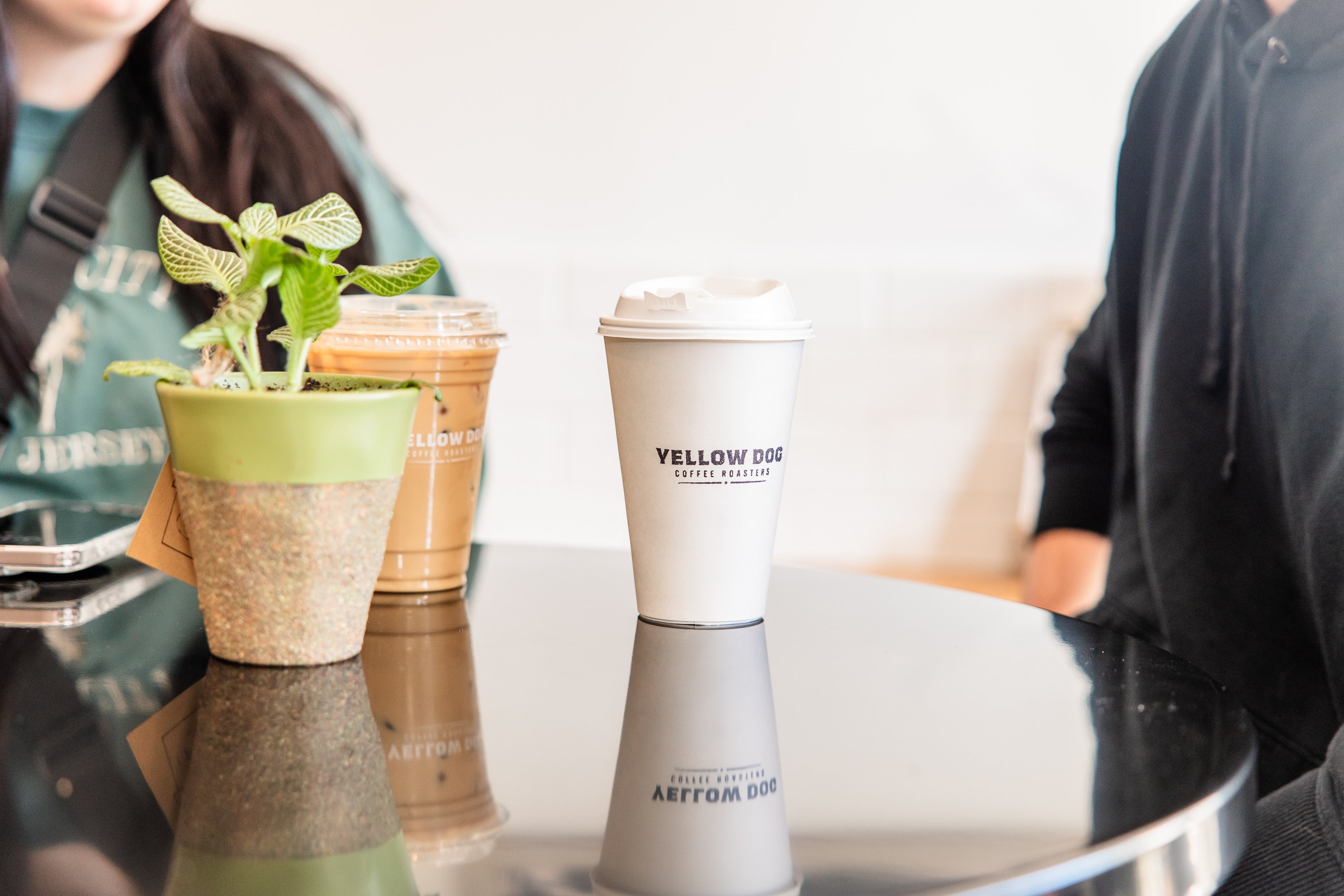 Yellow Dog Coffee Roasters