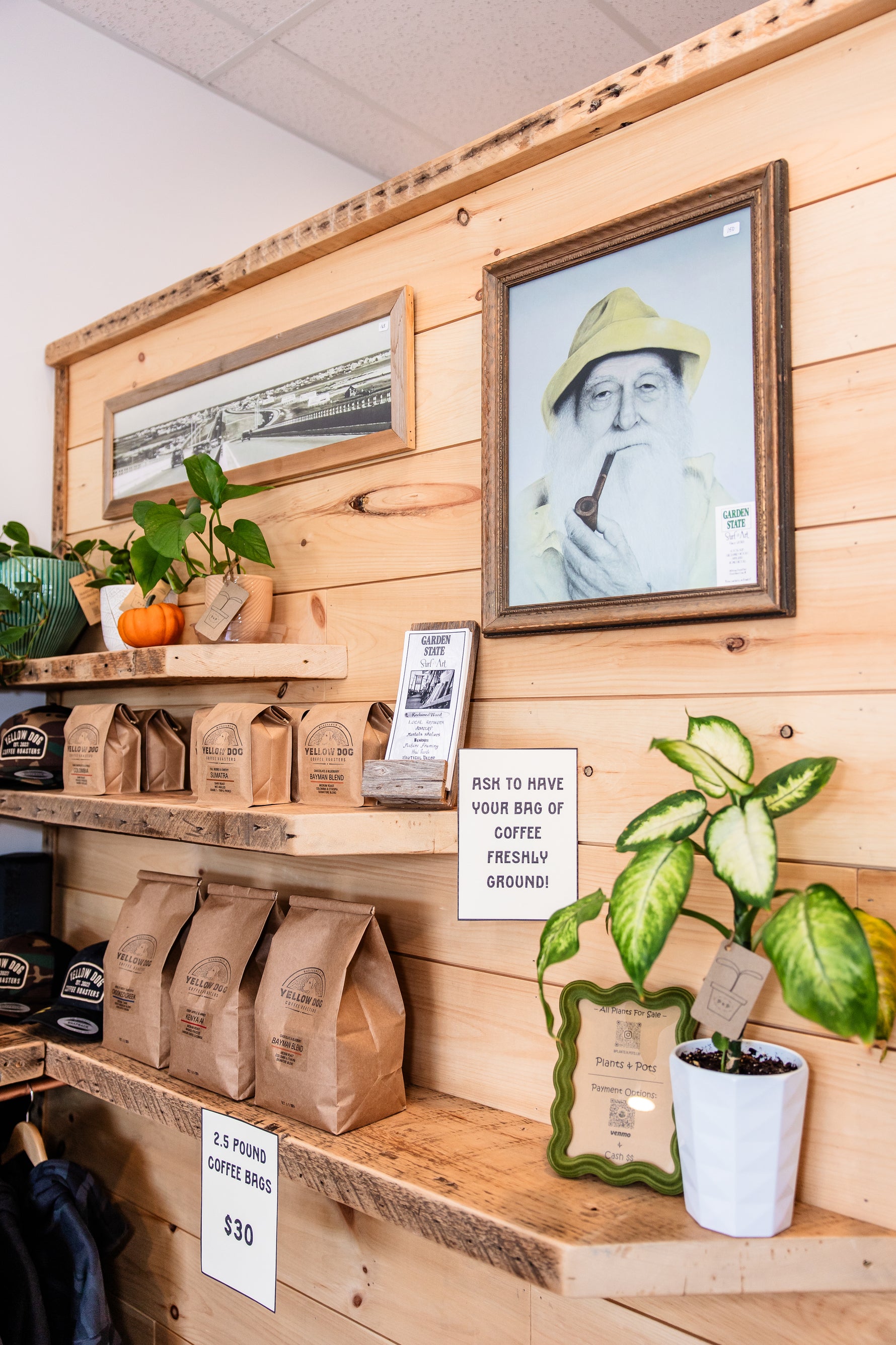 Yellow Dog Coffee Roasters